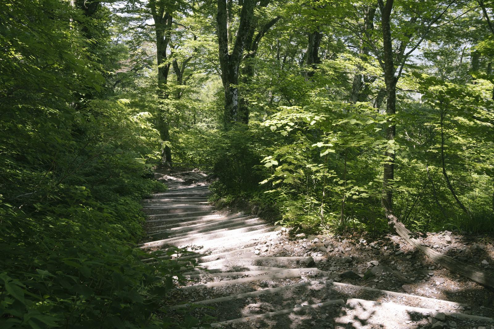 先祖を大事にする人 - 武蔵野算命塾